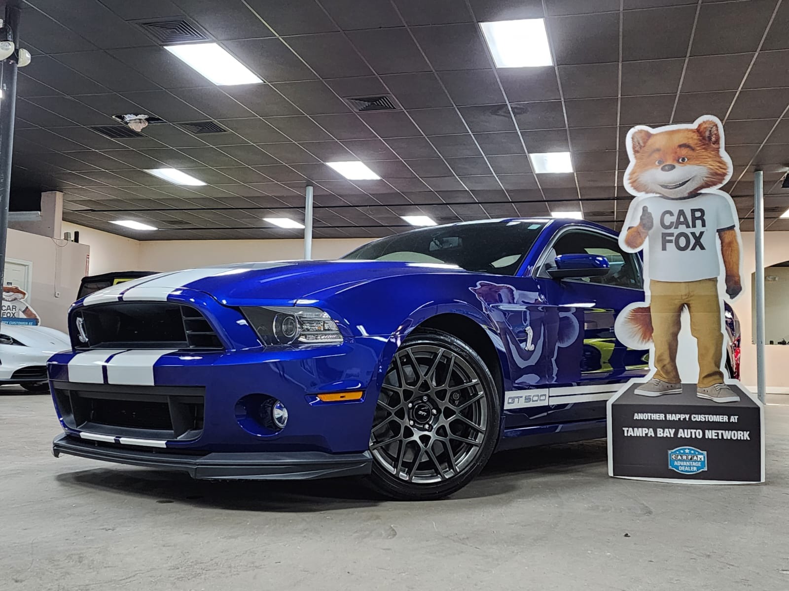 Used 2013 Ford Shelby GT500 For Sale Sold Tampa Bay Auto Network used-2013-ford-shelby-gt500-for-sale-sold-tampa-bay-auto-network